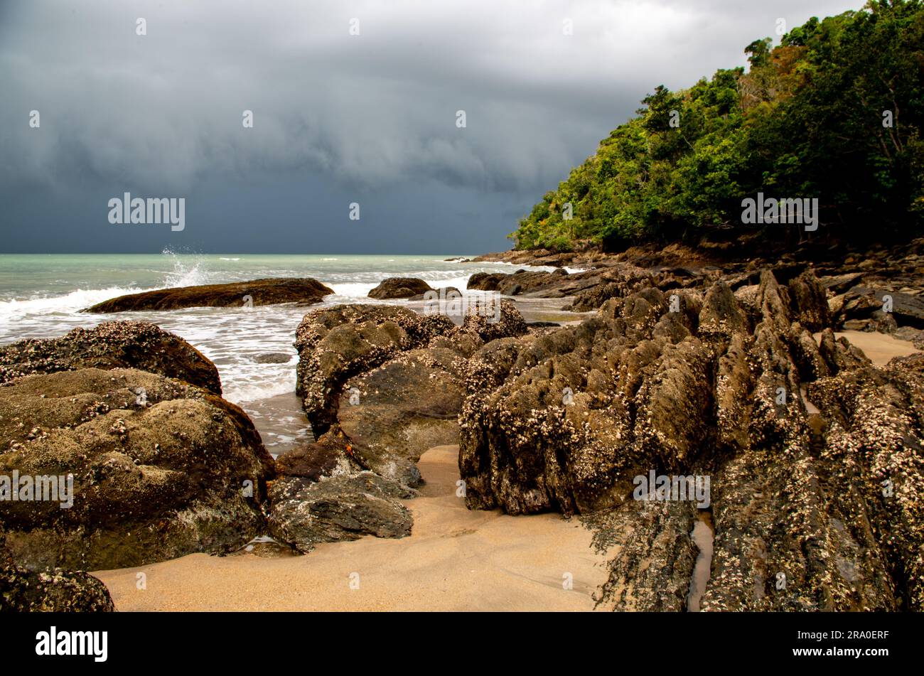 Etty Bay, Shoreline, rocks, shellfish, sand, salt water, waves, storm ...