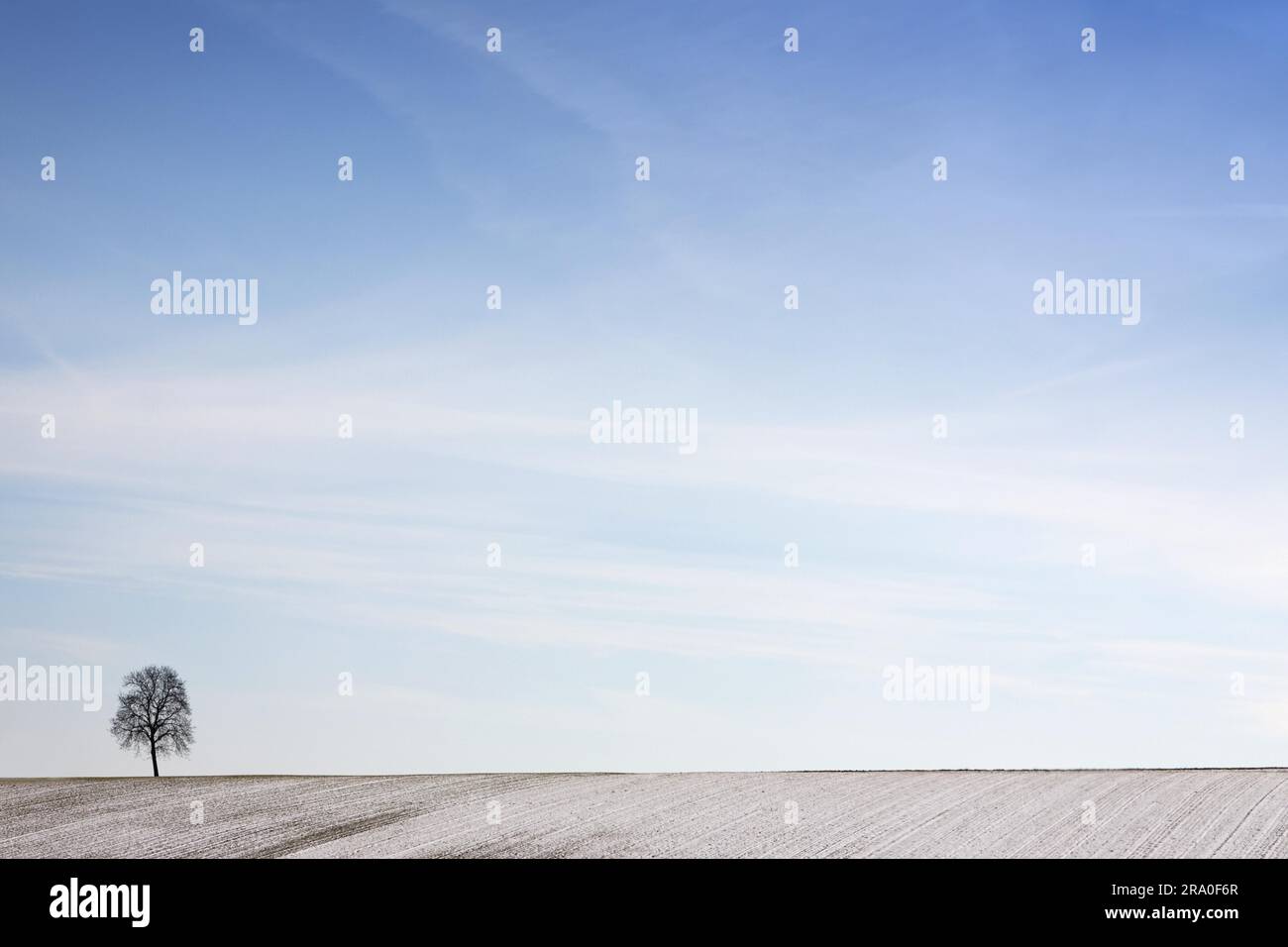 Individual alone hi-res stock photography and images - Alamy