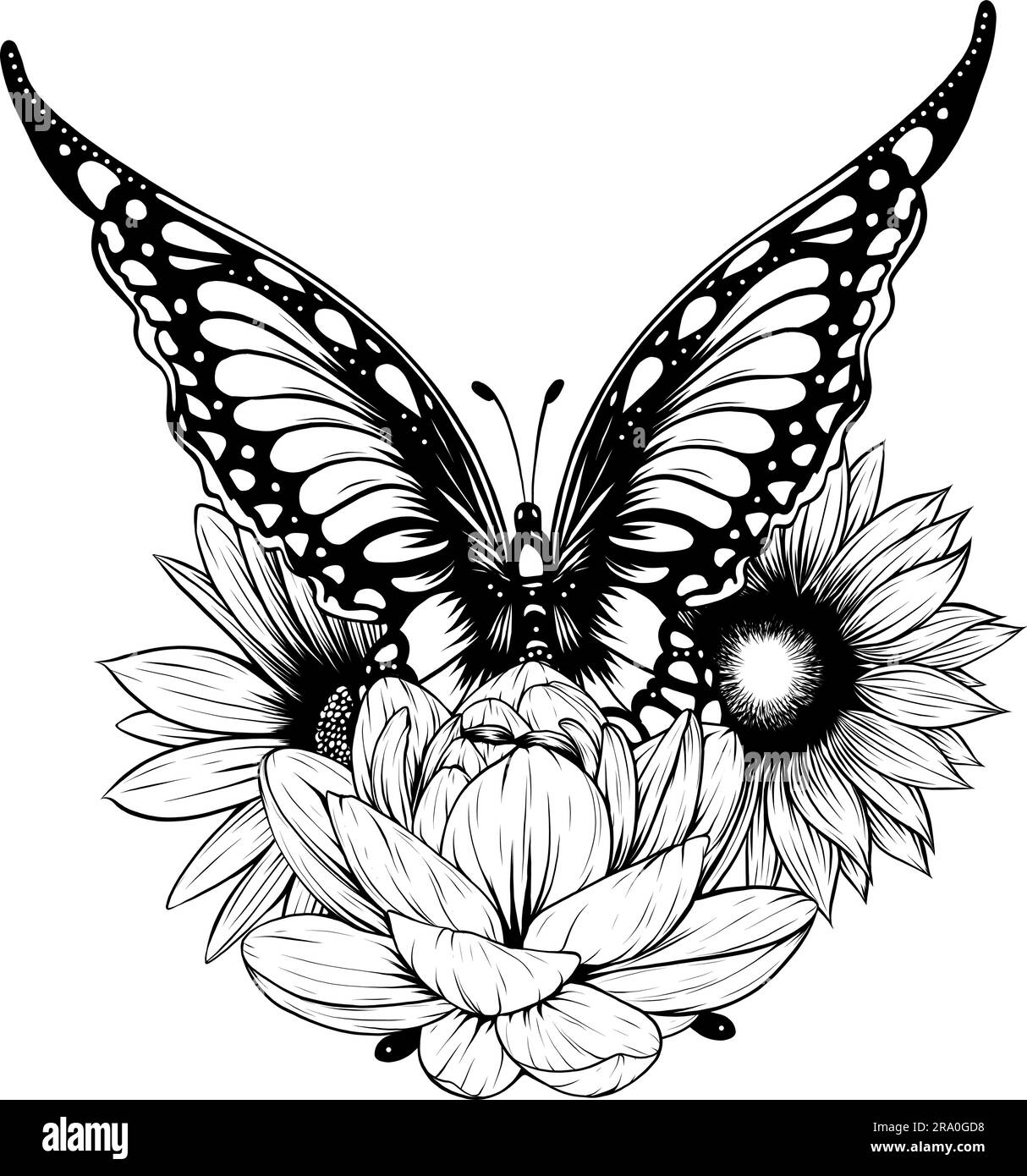 Beautiful black and white butterfly Outline vector illustration Stock ...