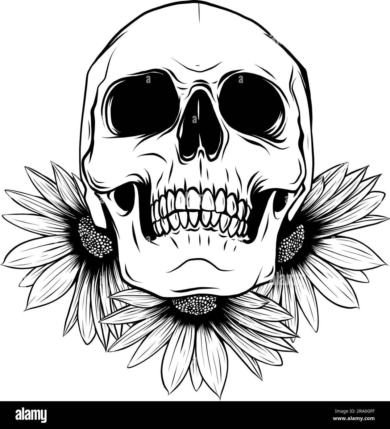 vector illustration of outline human skull design Stock Vector Image ...