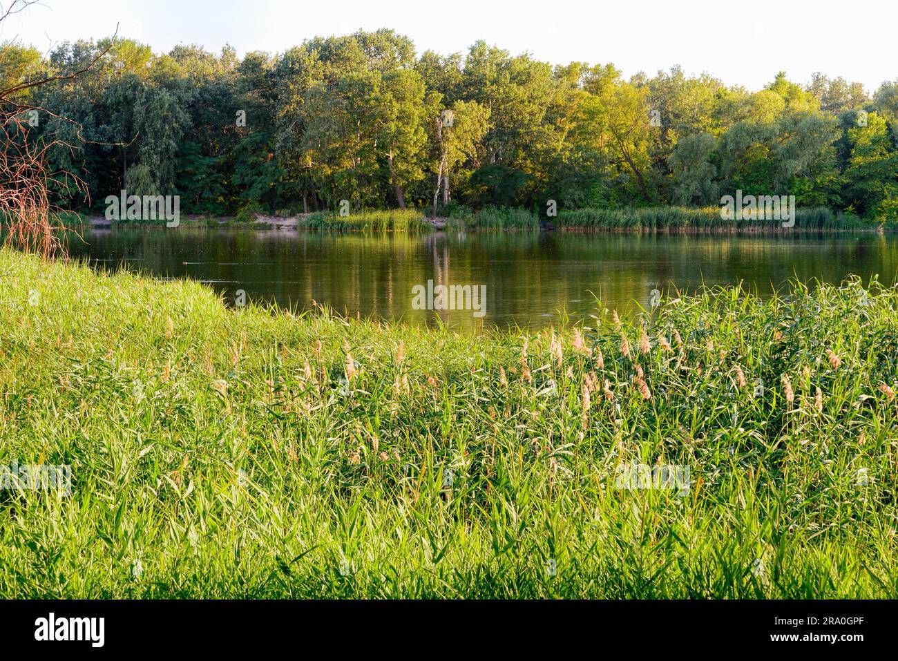Quiet atmosphere hi-res stock photography and images - Alamy