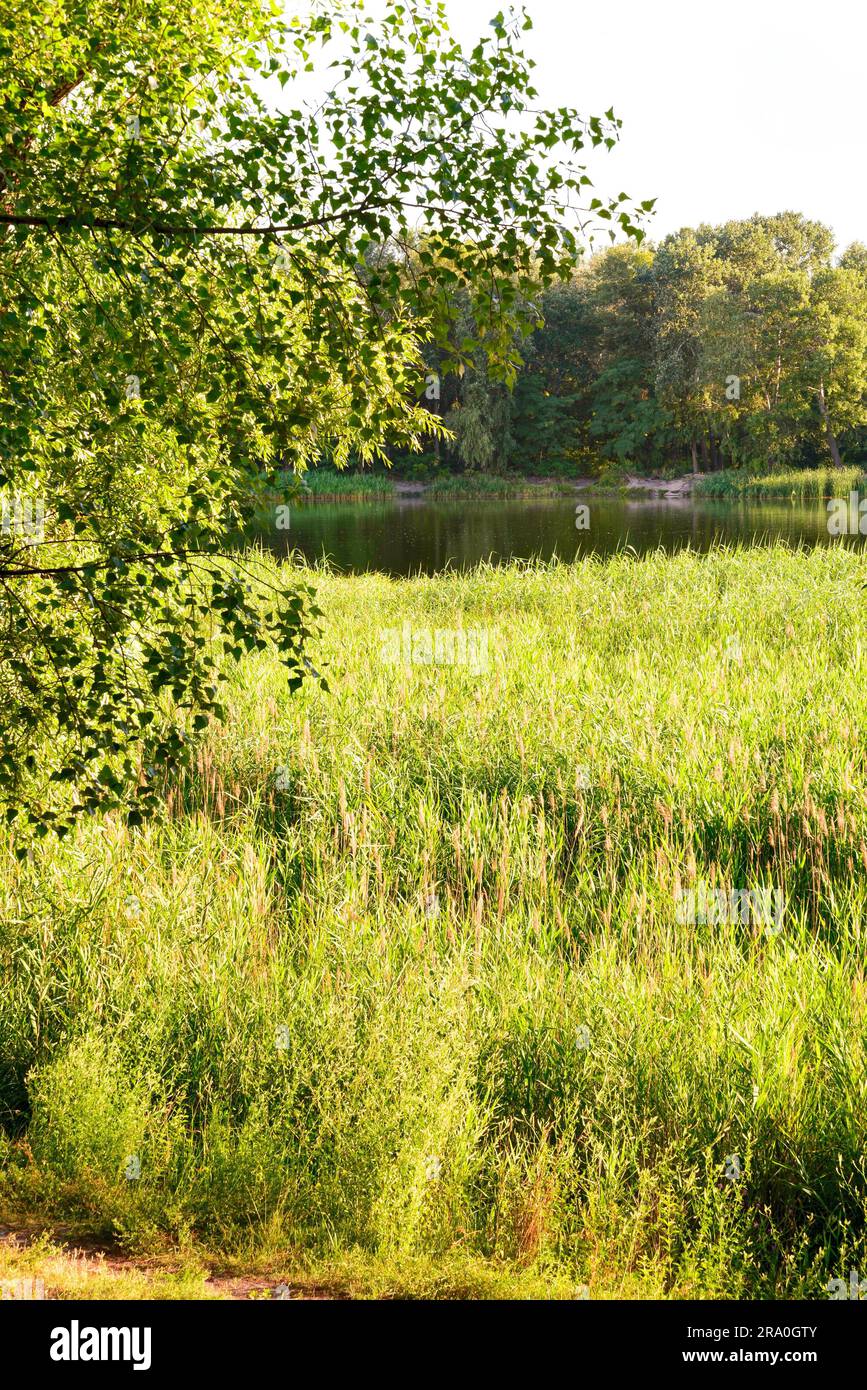 Quiet atmosphere hi-res stock photography and images - Alamy