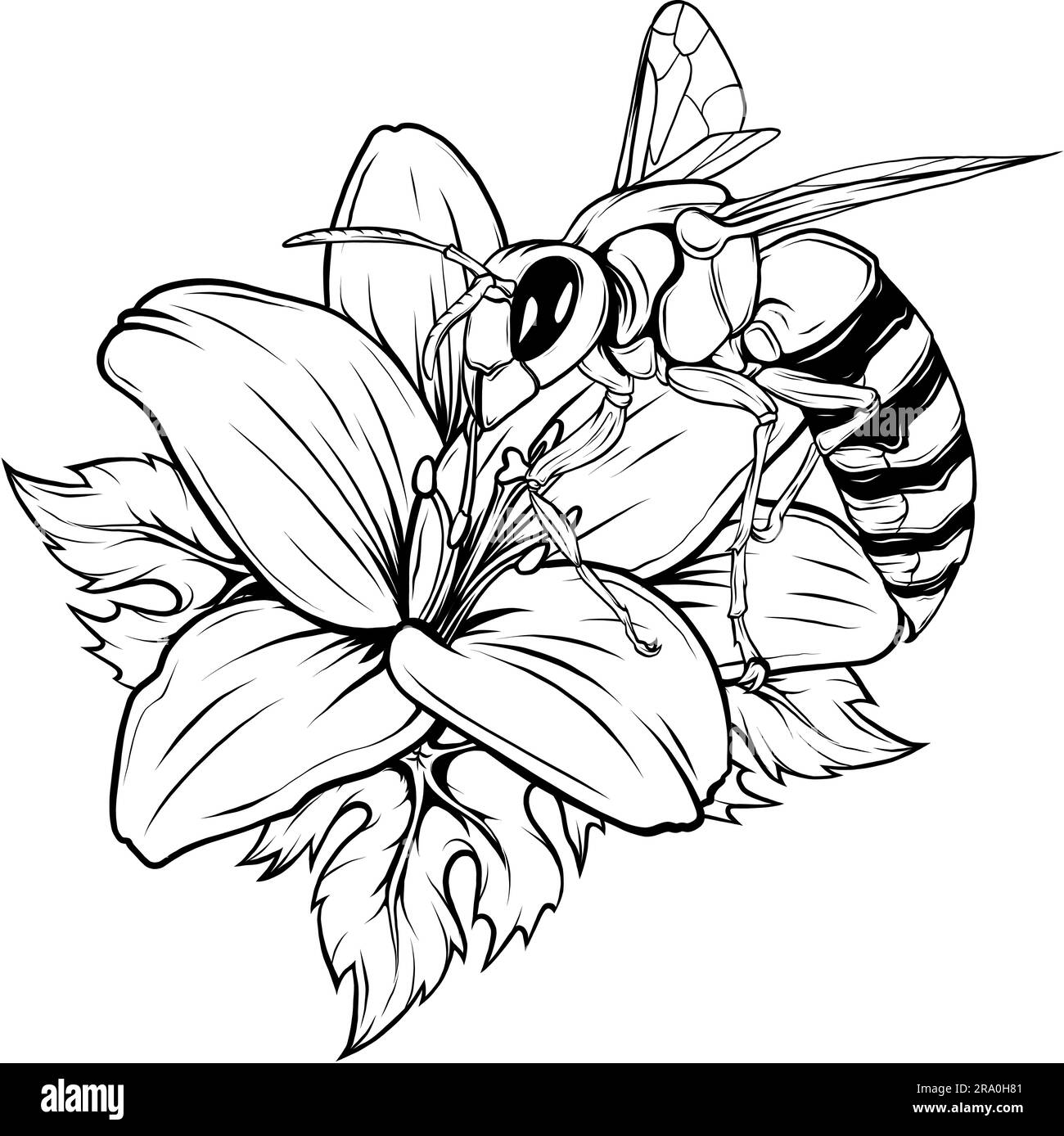 illustration of Bee outline black and white Stock Vector Image & Art ...