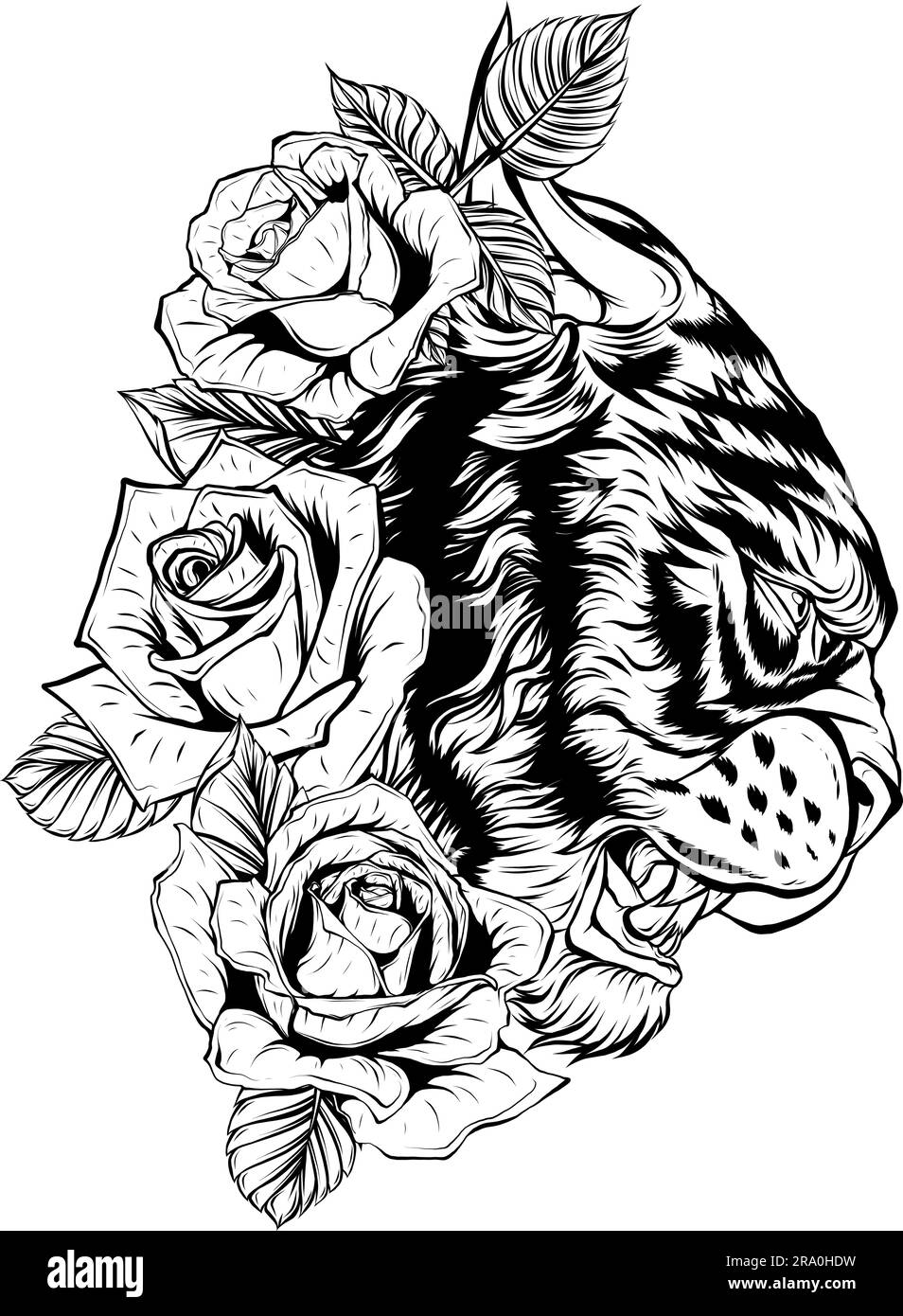 outline of Tiger head vector illustration design Stock Vector Image ...