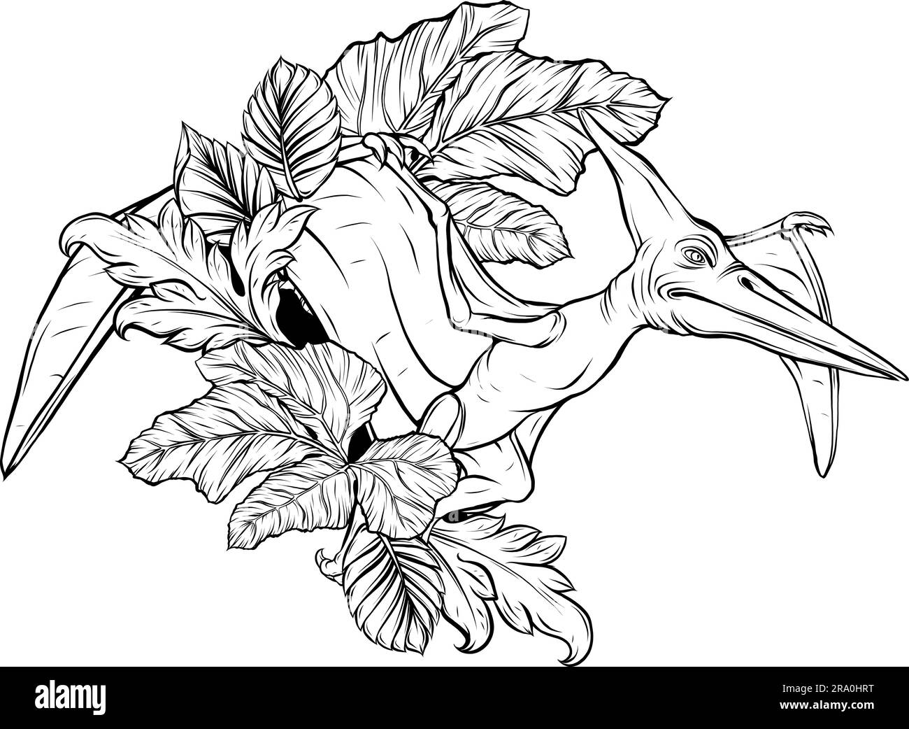 Vector black hand drawn outline flying pterodactyl dinosaur Stock ...