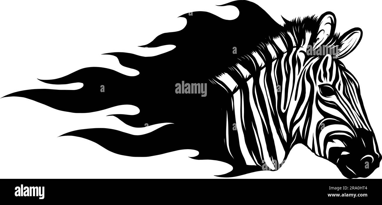 Zebra animal illustration, nature conservation vector black and white ...