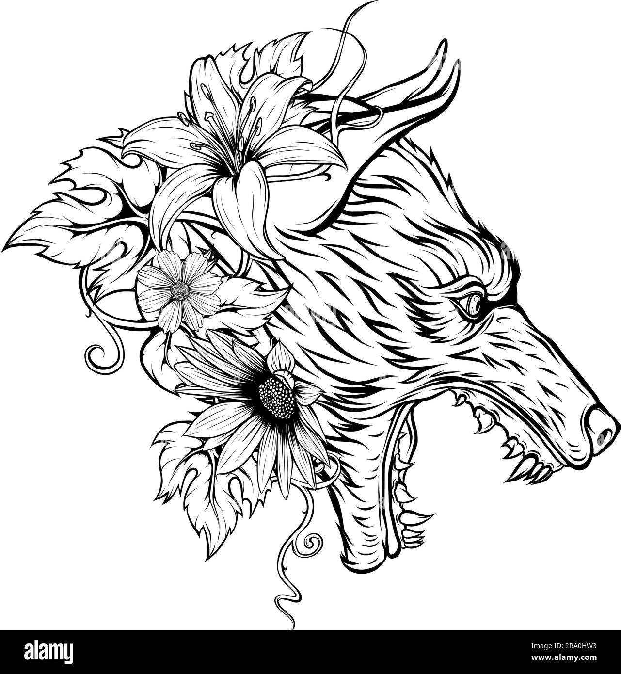 Vector illustration of Wolf head. Outlined drawing Stock Vector Image ...