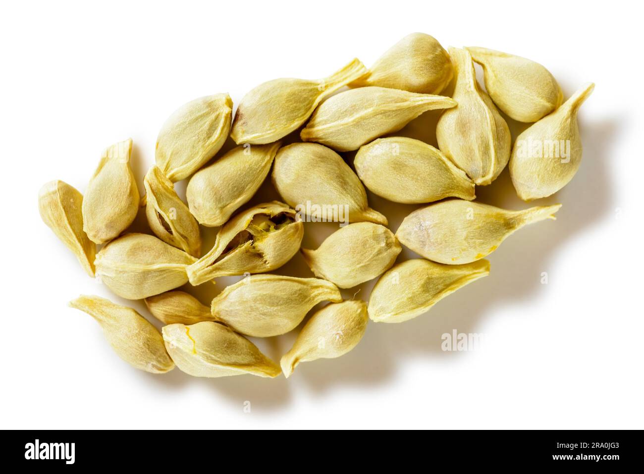 Macro of orange's seeds isolated on white background Stock Photo - Alamy