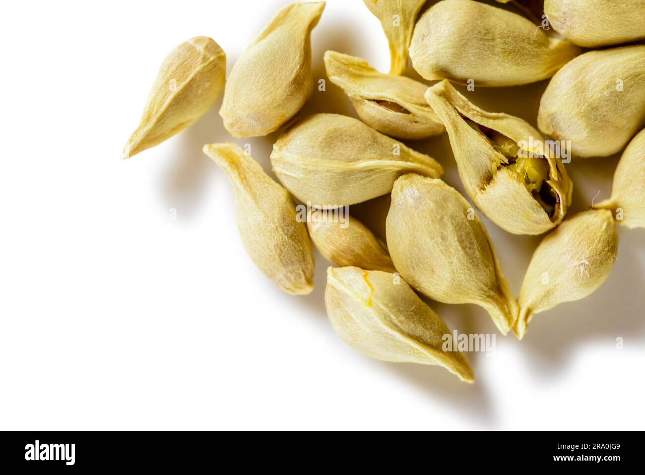 Macro of orange's seeds isolated on white background Stock Photo - Alamy