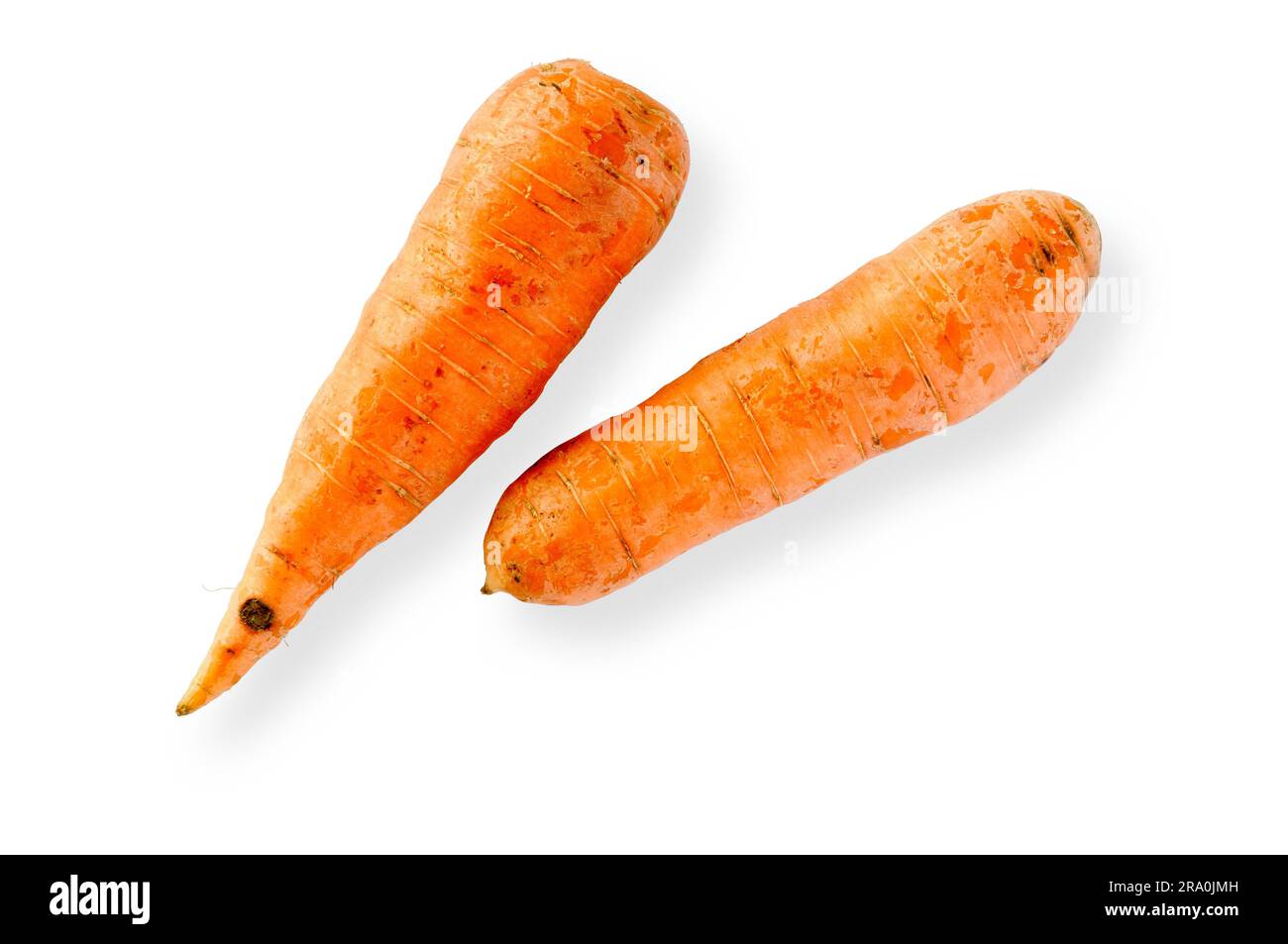Two nice carrots on a white background (clipping path included only in ...