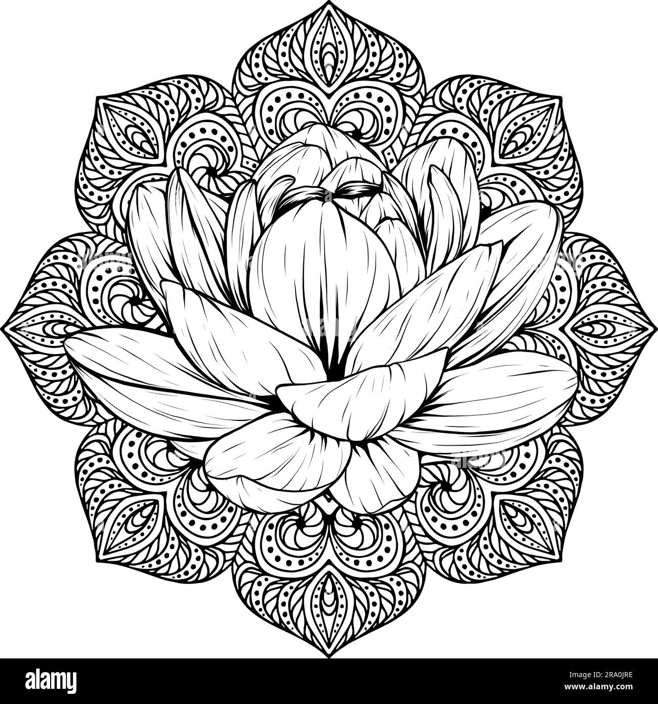 Illustration of lotus flower outline vector design Stock Vector Image ...