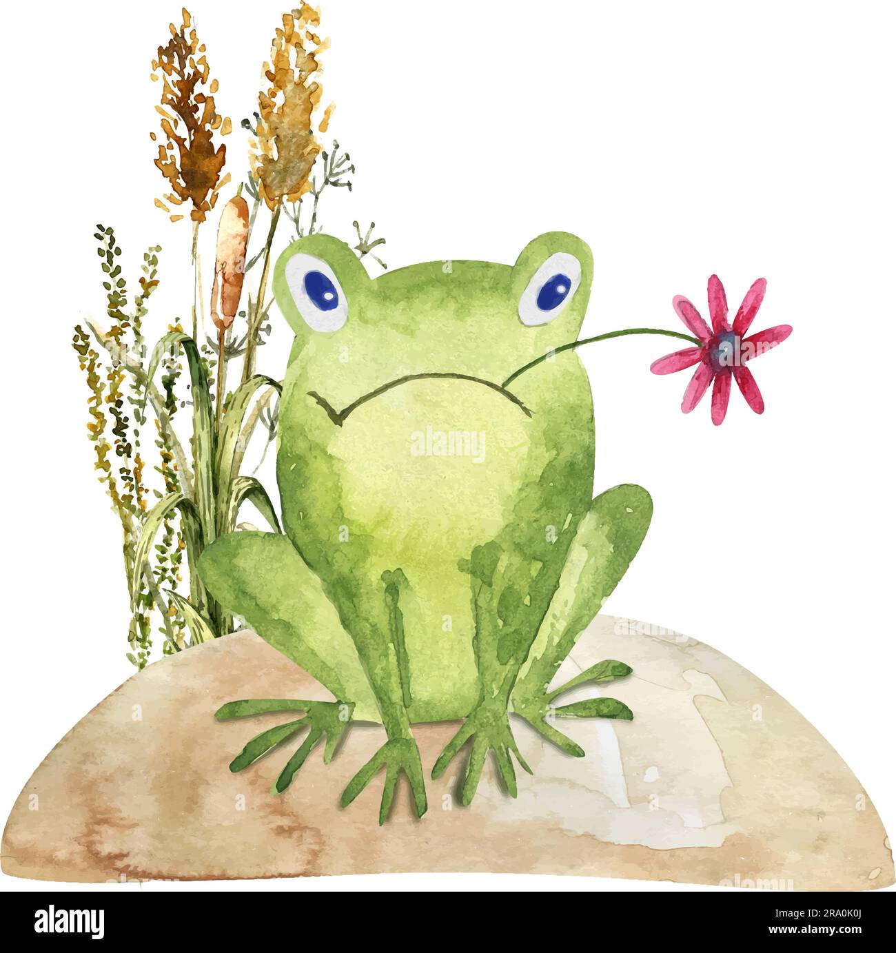 Funny frog with a flower in his mouth is sitting on the lawn ...