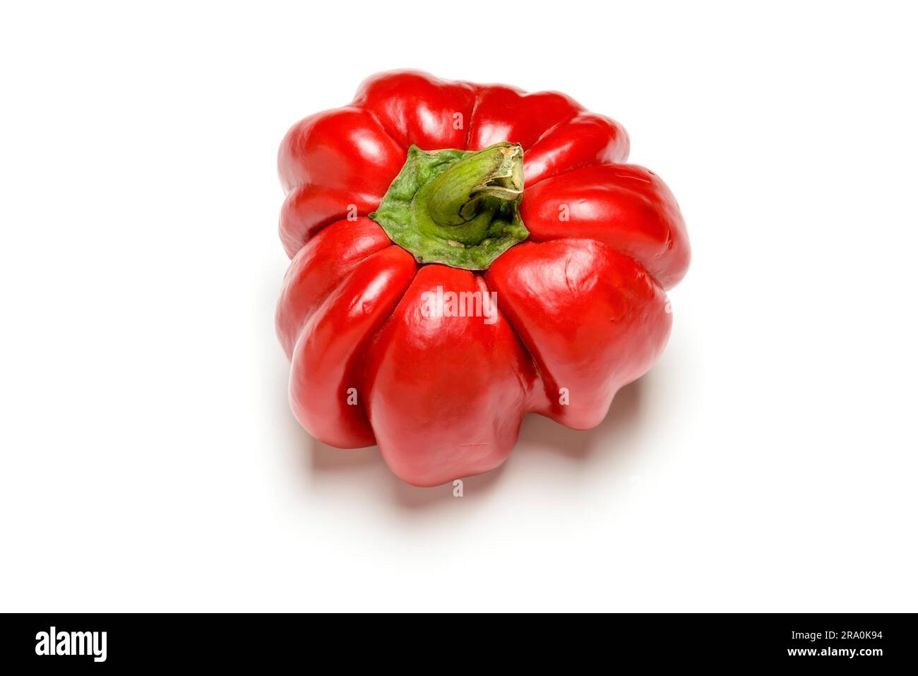 One bell pepper from the kitchen garden, isolated on white background ...