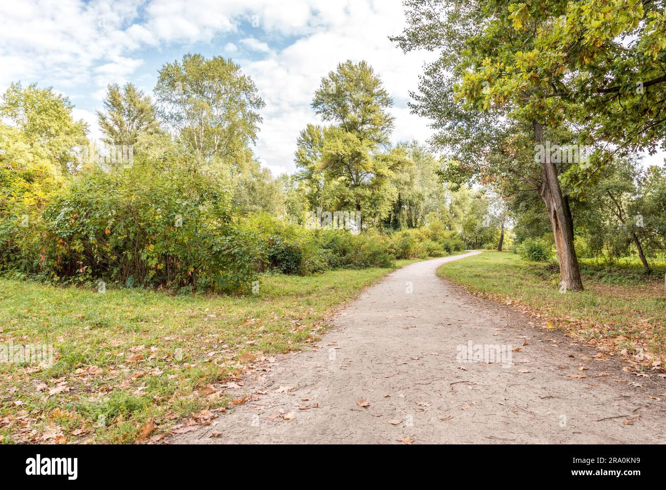 A trail in the park during a late summer afternoon. Soft white clouds ...