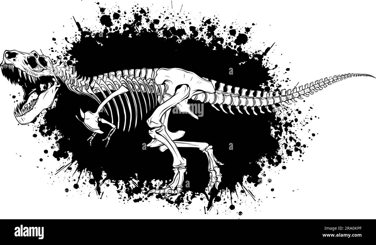 vector Tyrannosaurus Rex dinosaur skeleton outline illustration Stock ...