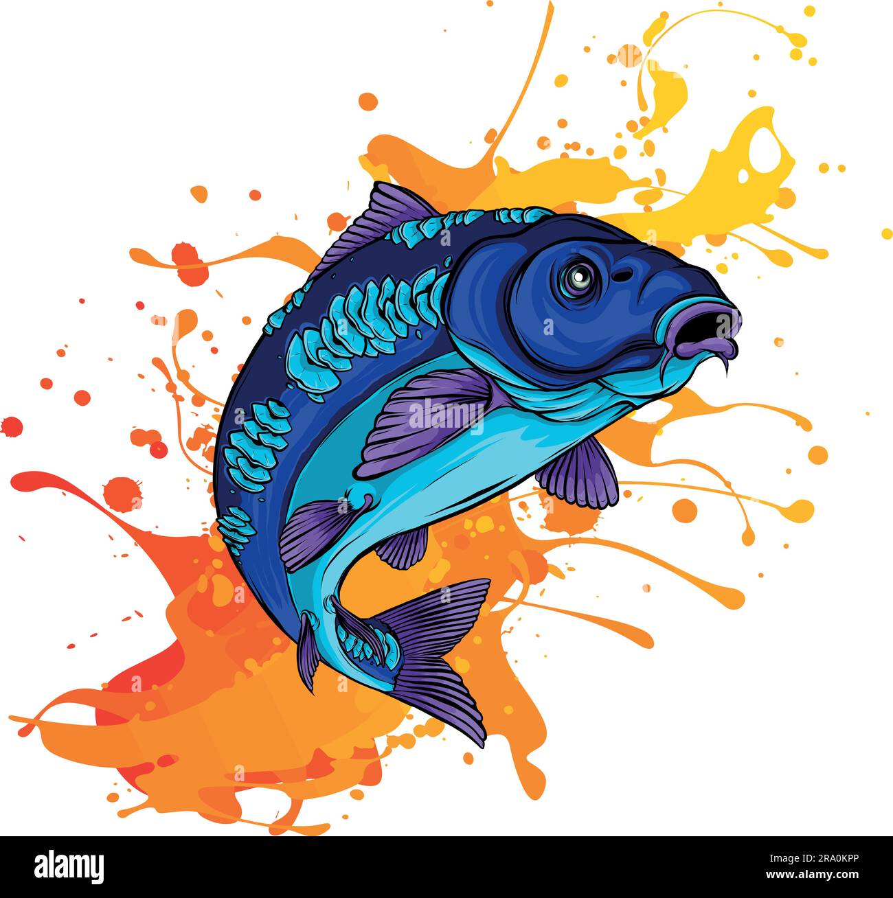 vector illustration of colored Carp fish design Stock Vector Image ...
