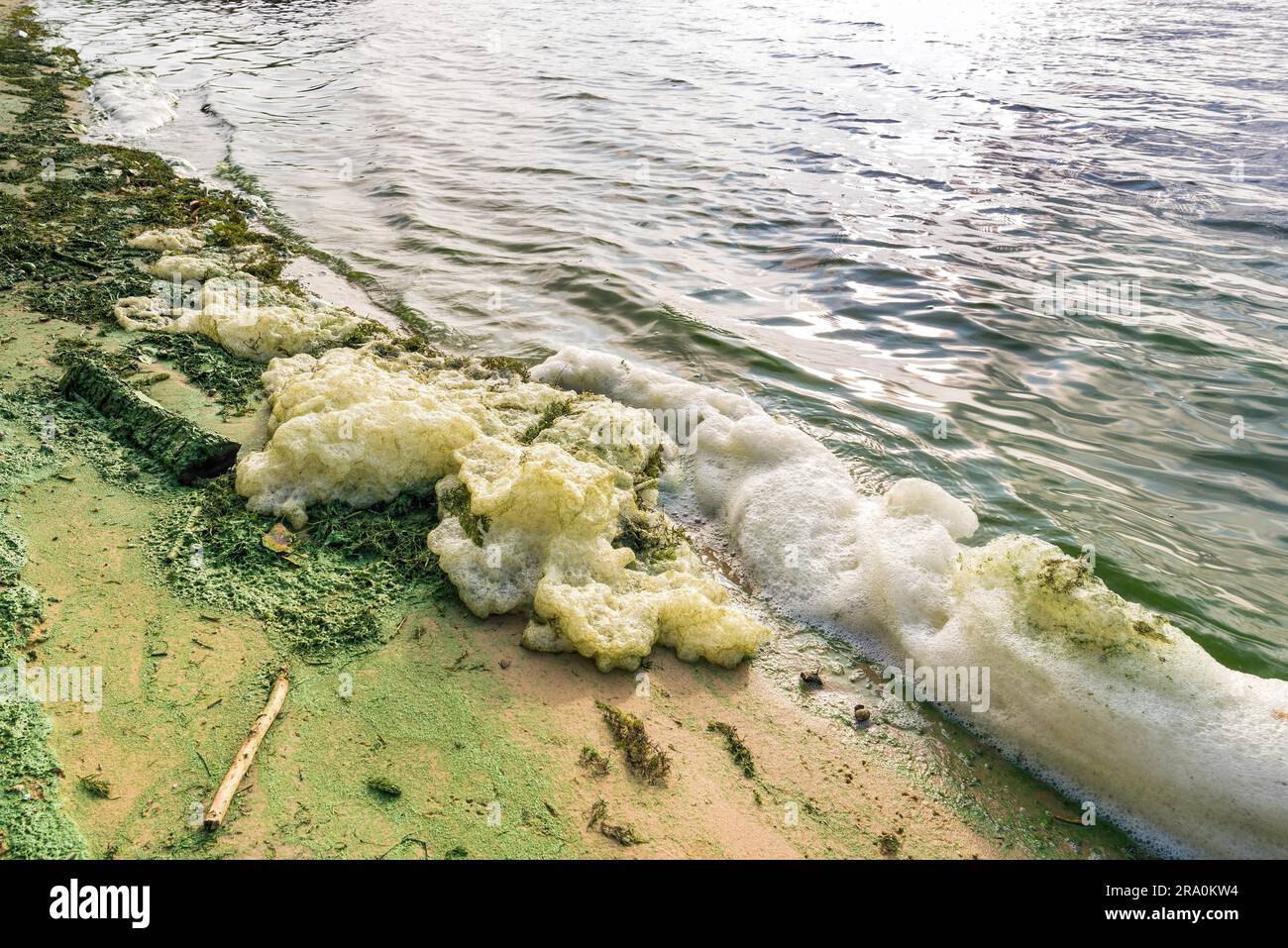 Foam and green algae pollution in the Dnieper river in Kiev Stock Photo ...