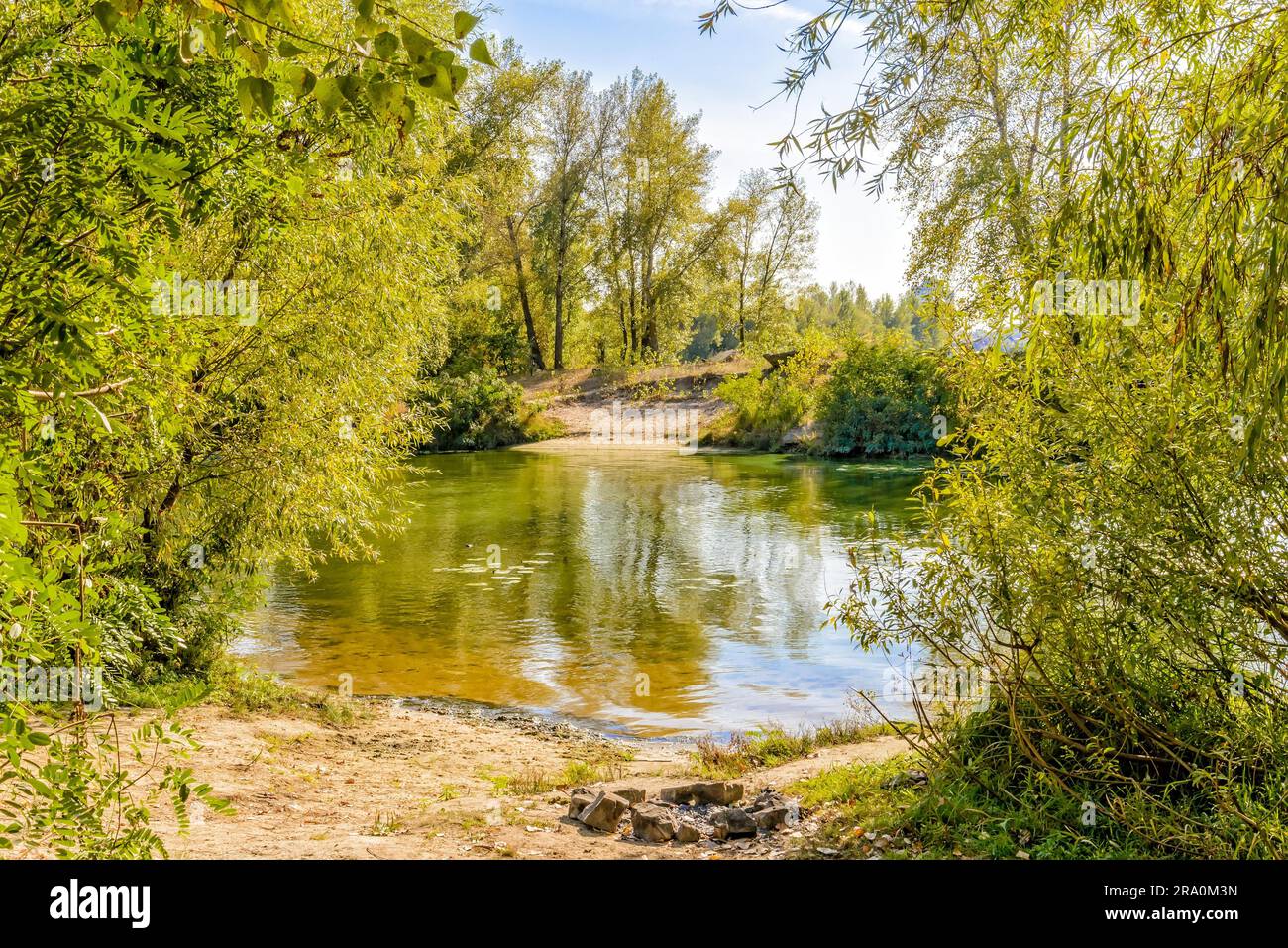 A view of the river trhough the late summer trees Stock Photo - Alamy