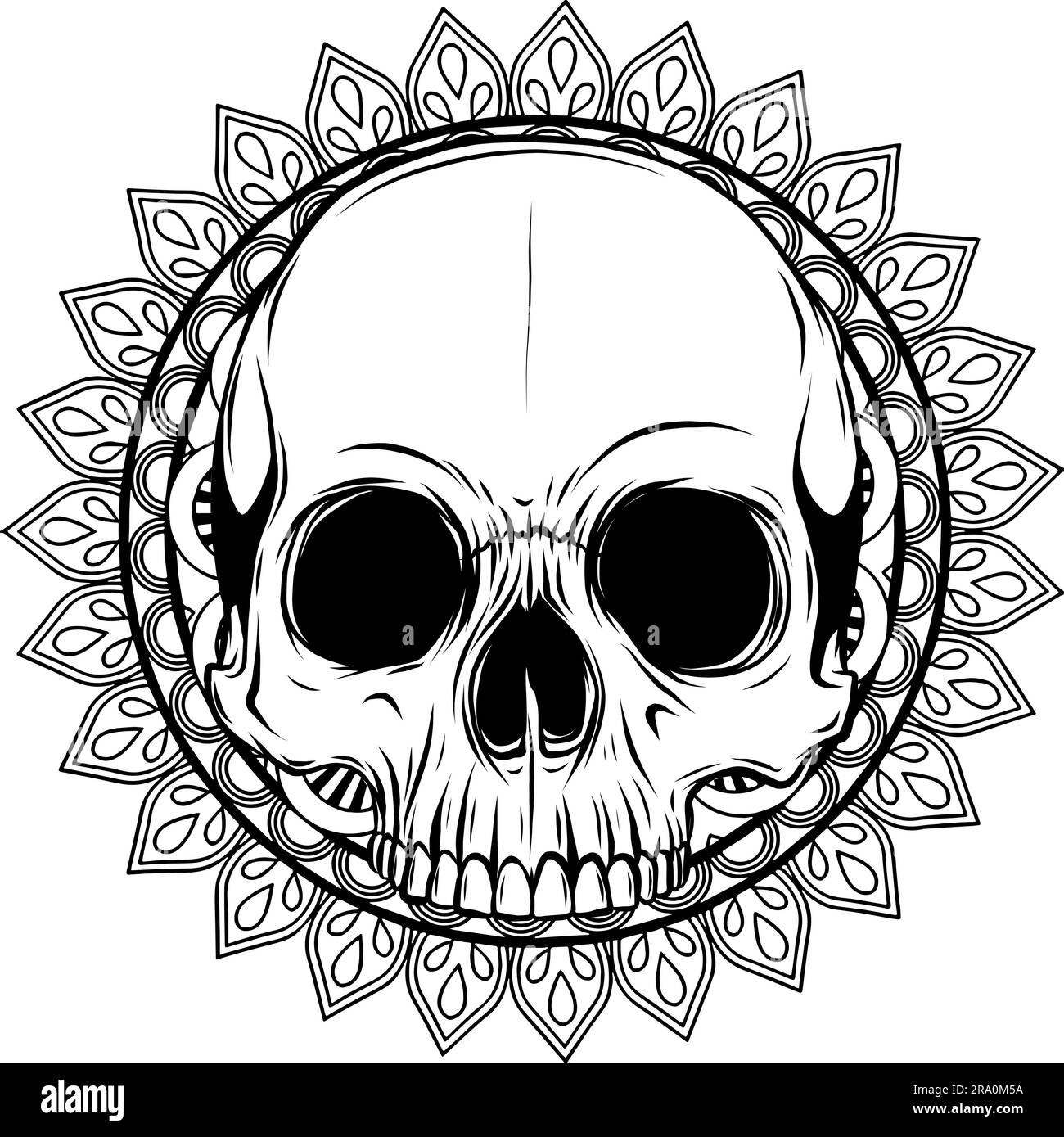 vector illustration of outline human skull design Stock Vector Image ...