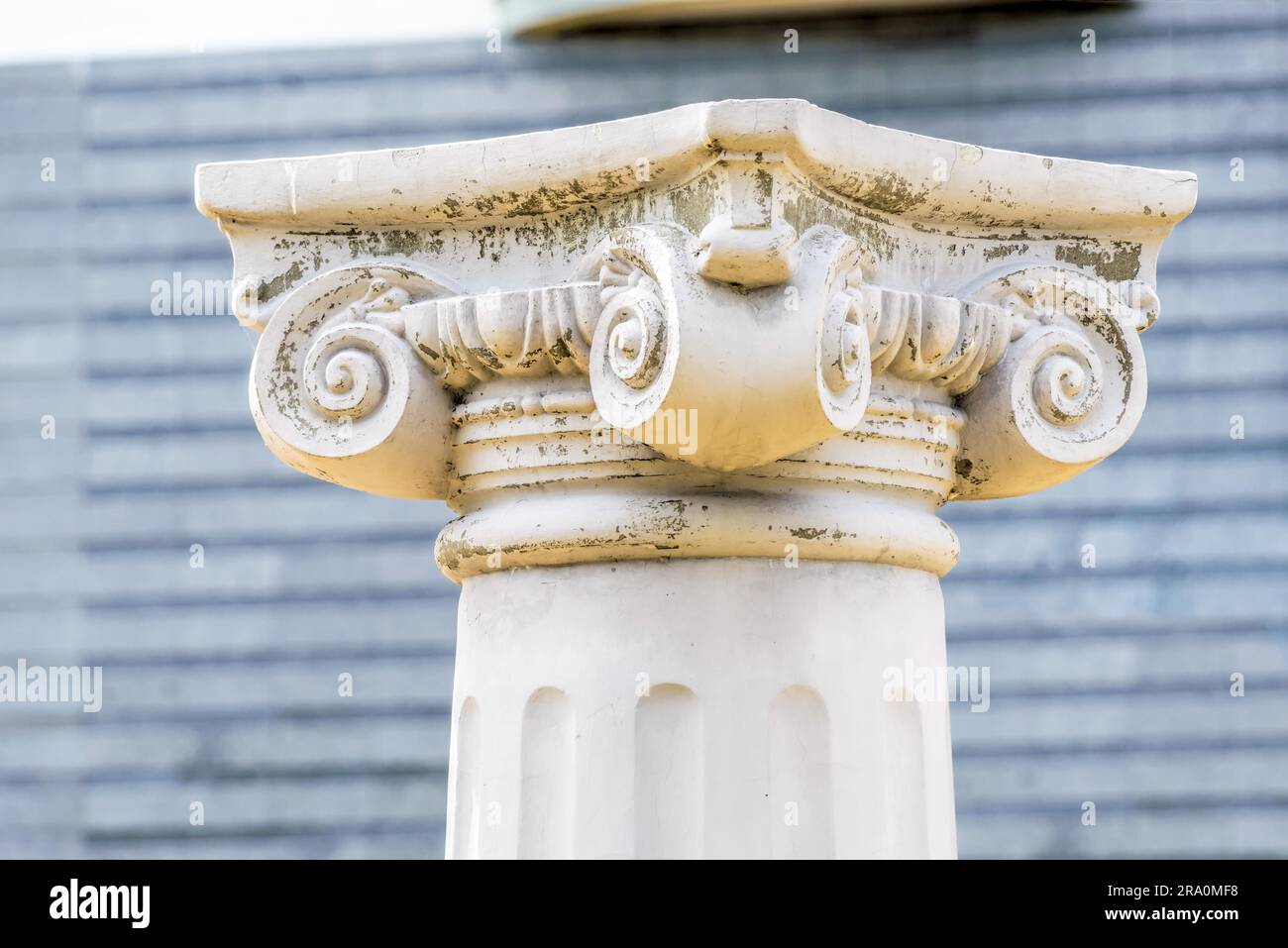 Detail of the head of a greek ionic column Stock Photo - Alamy