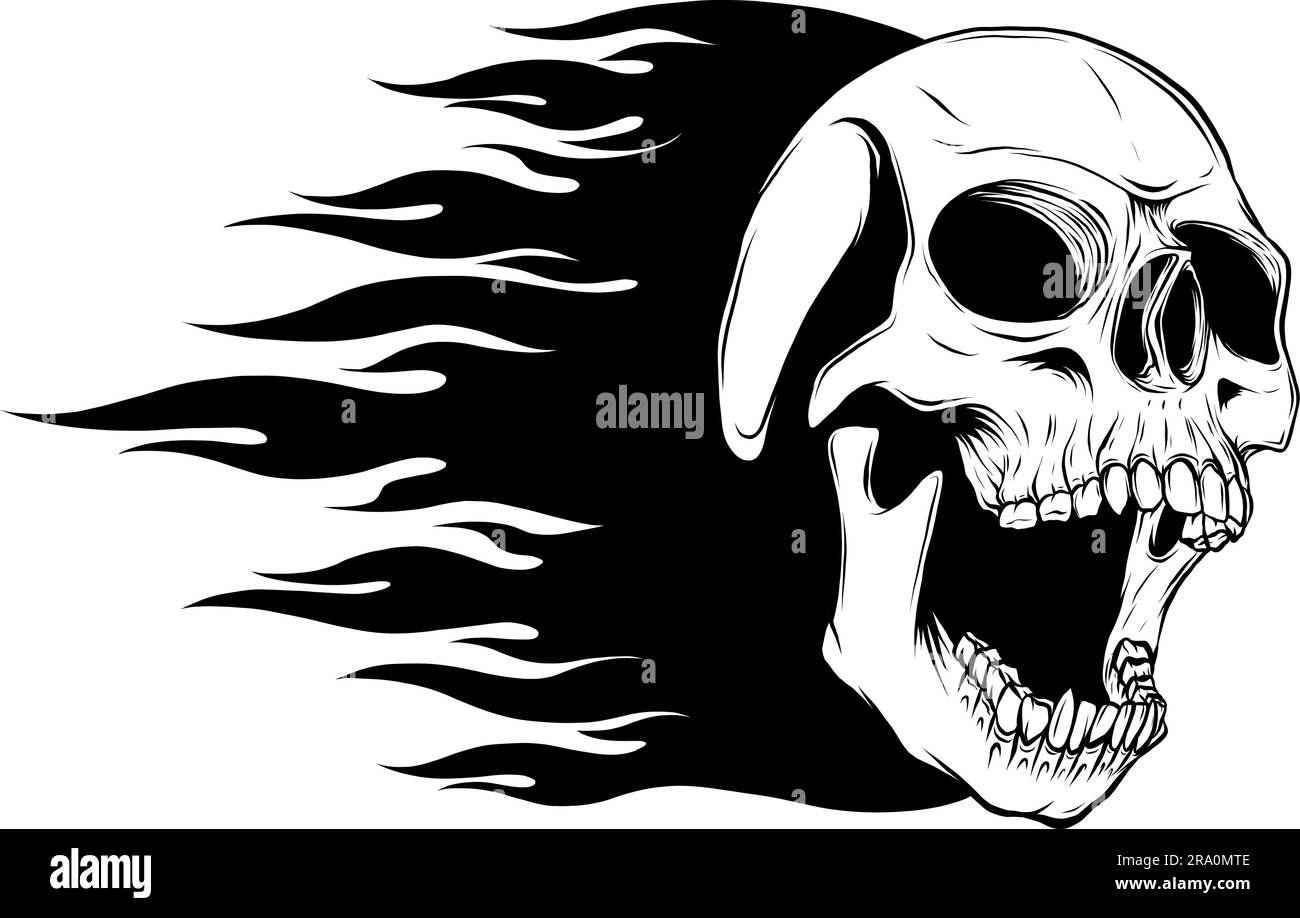 vector illustration of outline human skull design Stock Vector Image ...