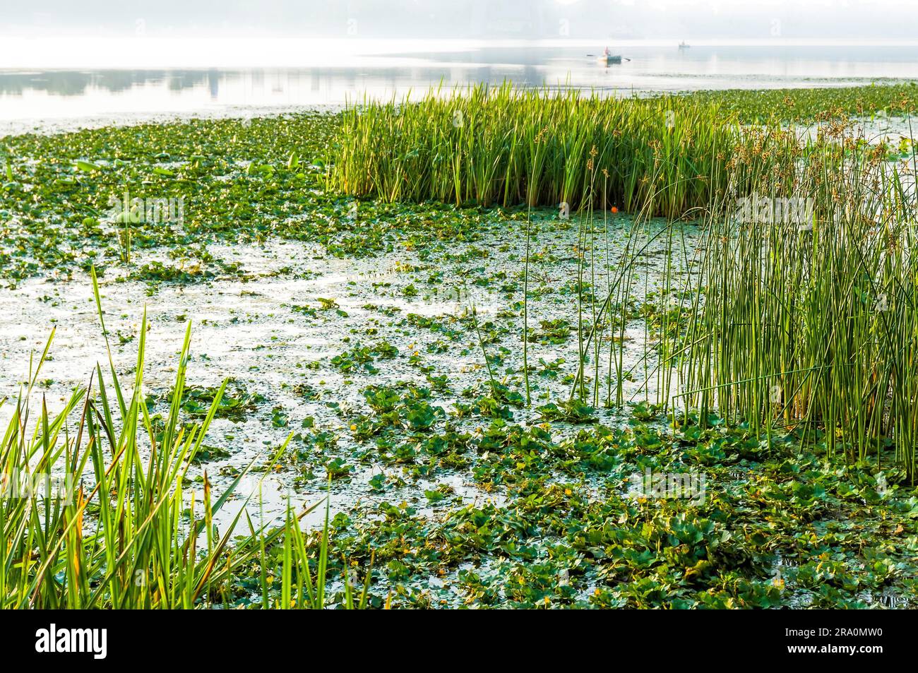 A quiet view of the Dniper river soon at dawn Stock Photo - Alamy