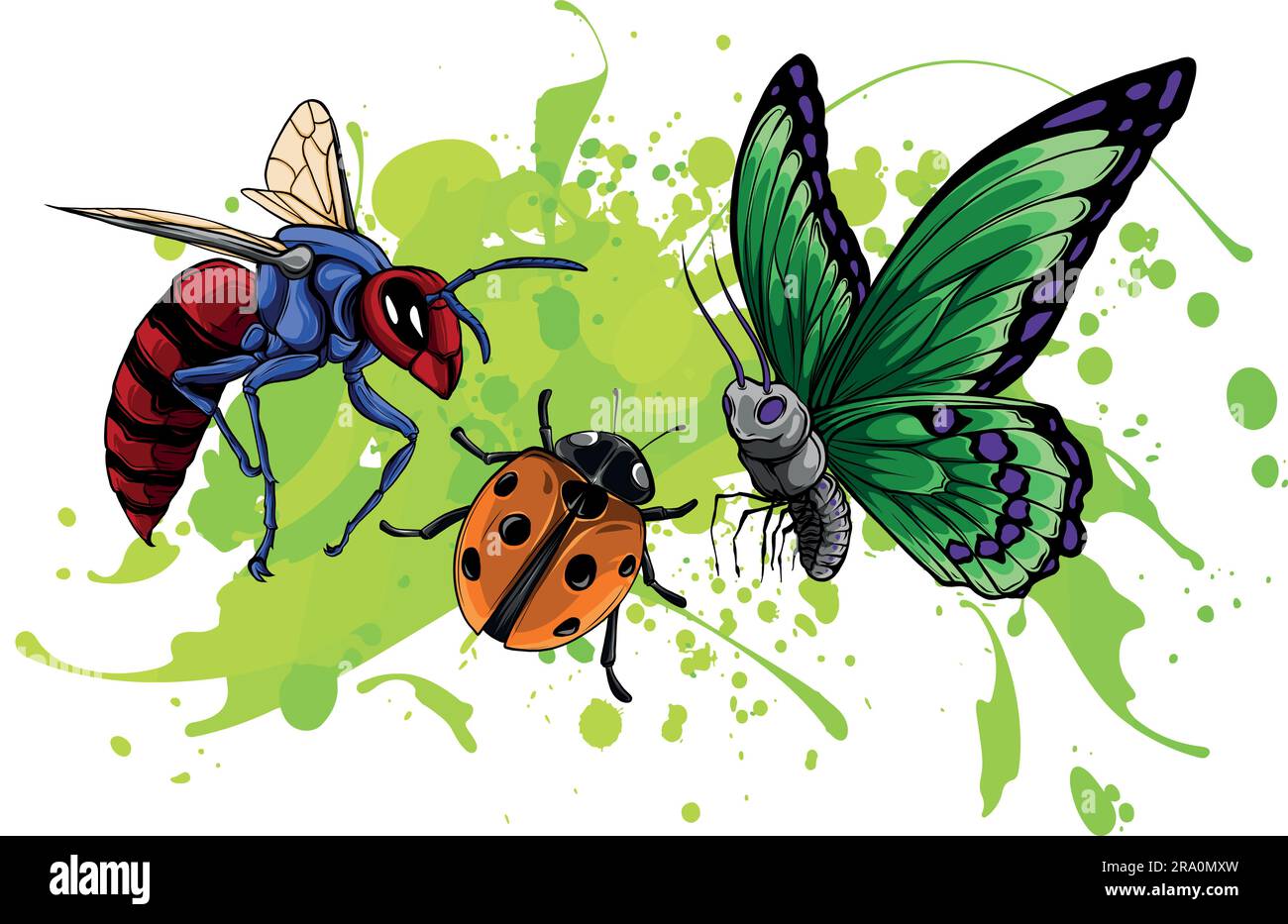 Insect illustration, drawing, engraving, ink, line art, vector Stock ...