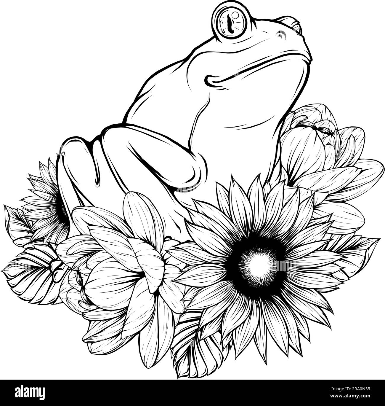 Vector Frog In Black And White Outline Stock Vector Image And Art Alamy