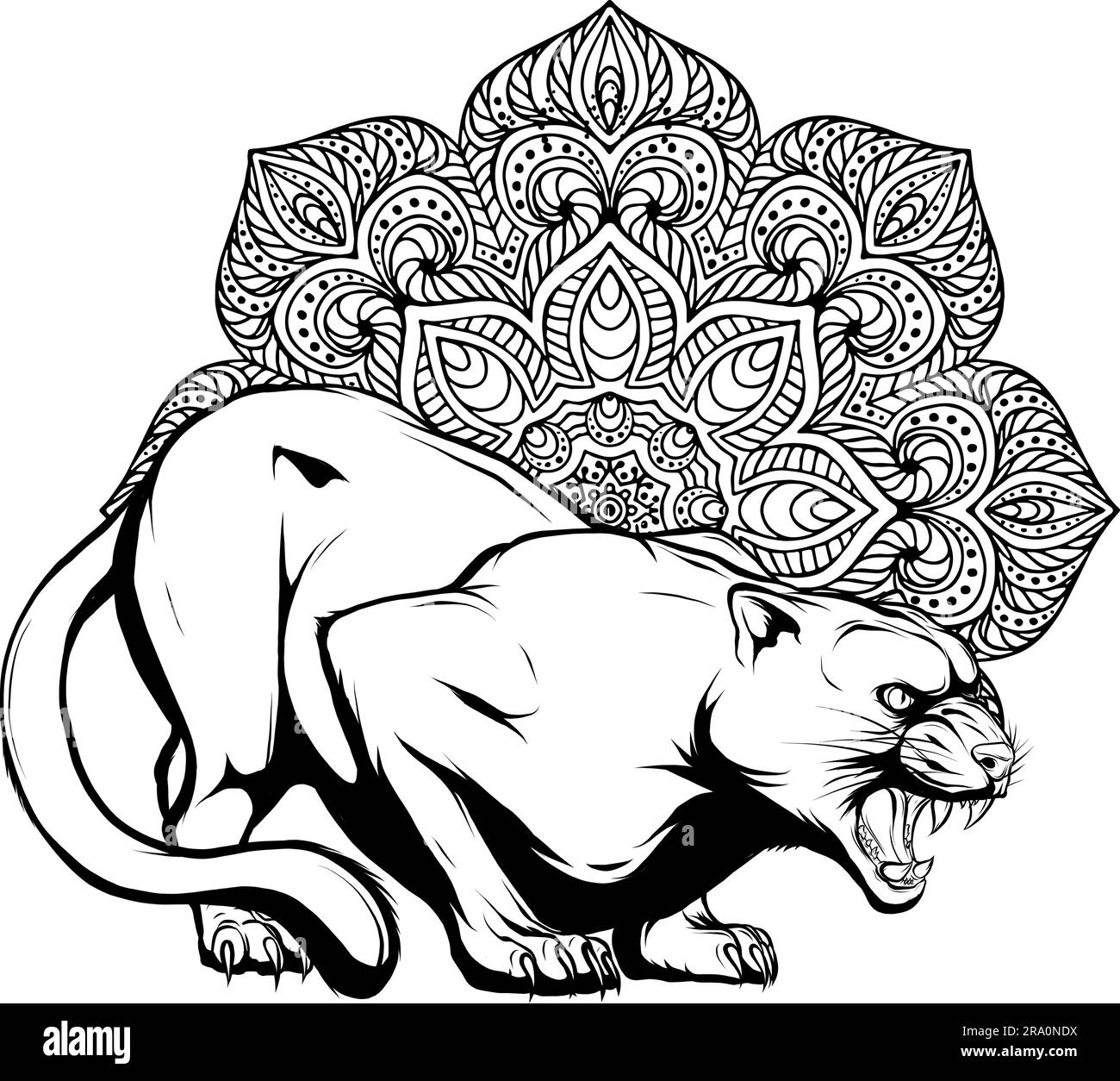 Contour linear drawing illustration of the wild puma Stock Vector Image ...