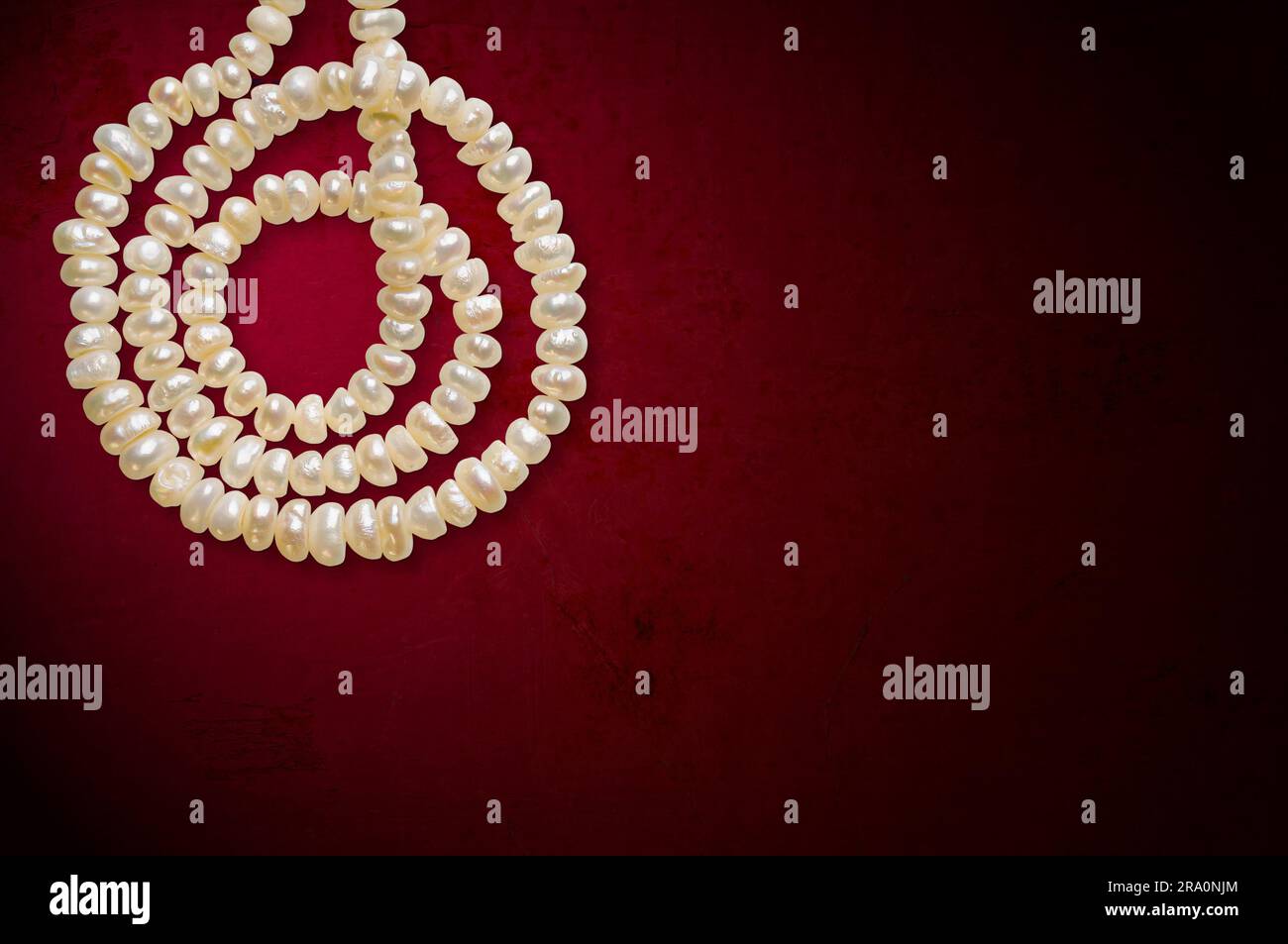 Natural pearls necklace in spiral on a red background, with space for ...