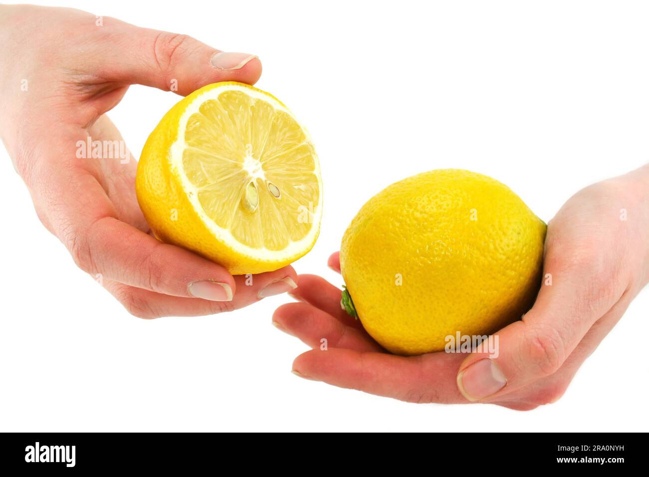 Woman's hands holding citrus fruits (lemon) isolated on a white ...