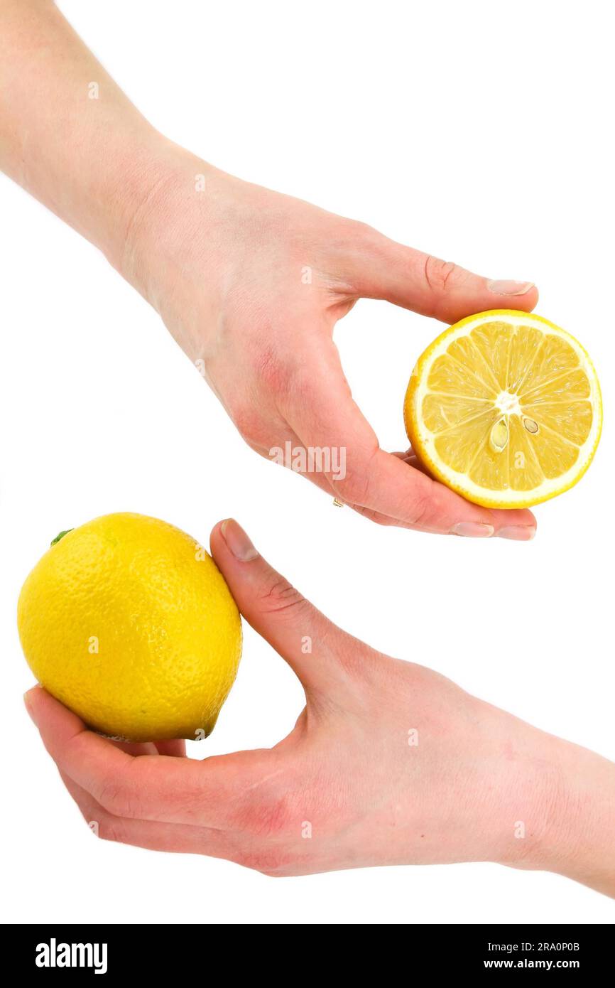 Woman's hands holding citrus fruits (lemon) isolated on a white ...