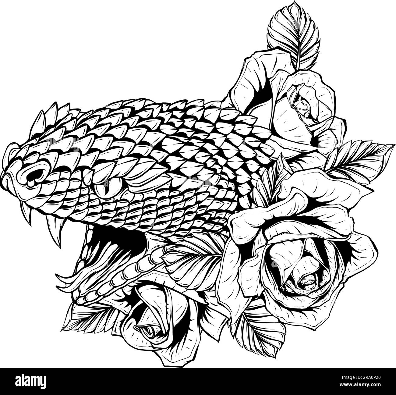 snake head outline in black and white Stock Vector Image & Art - Alamy