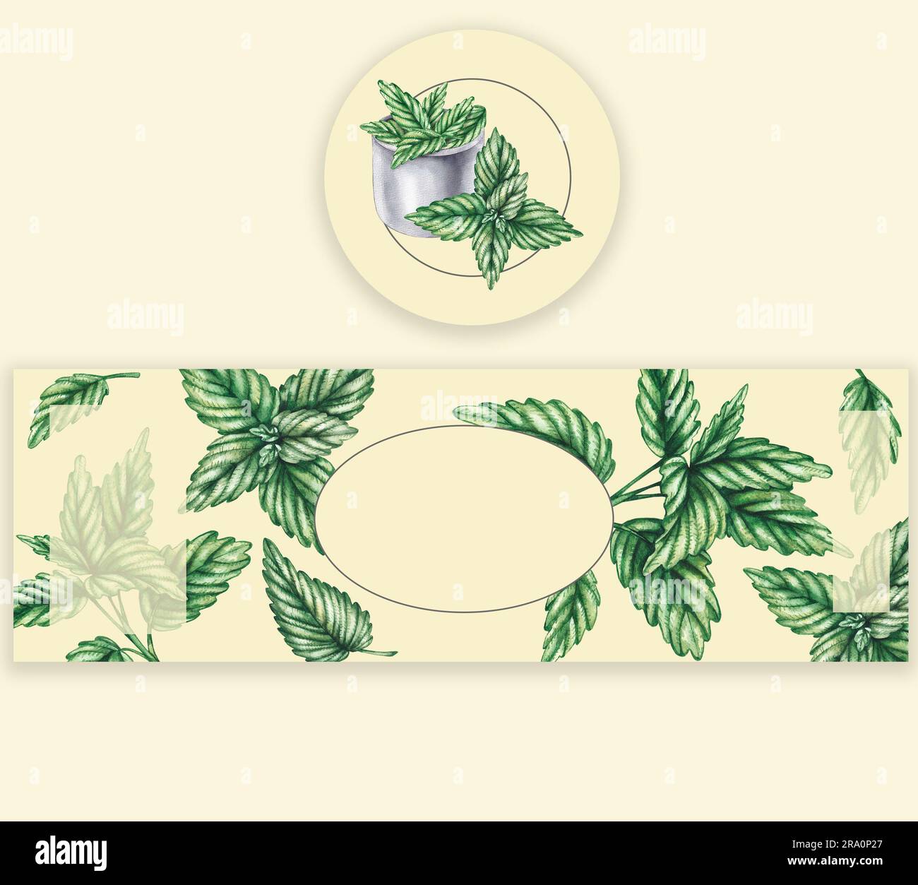 Label mockup with mint plant. Bouquet of mint in a vase with watercolor ...