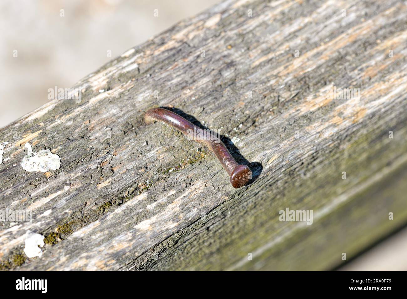 Rusted and twisted nail in an old beam Stock Photo - Alamy