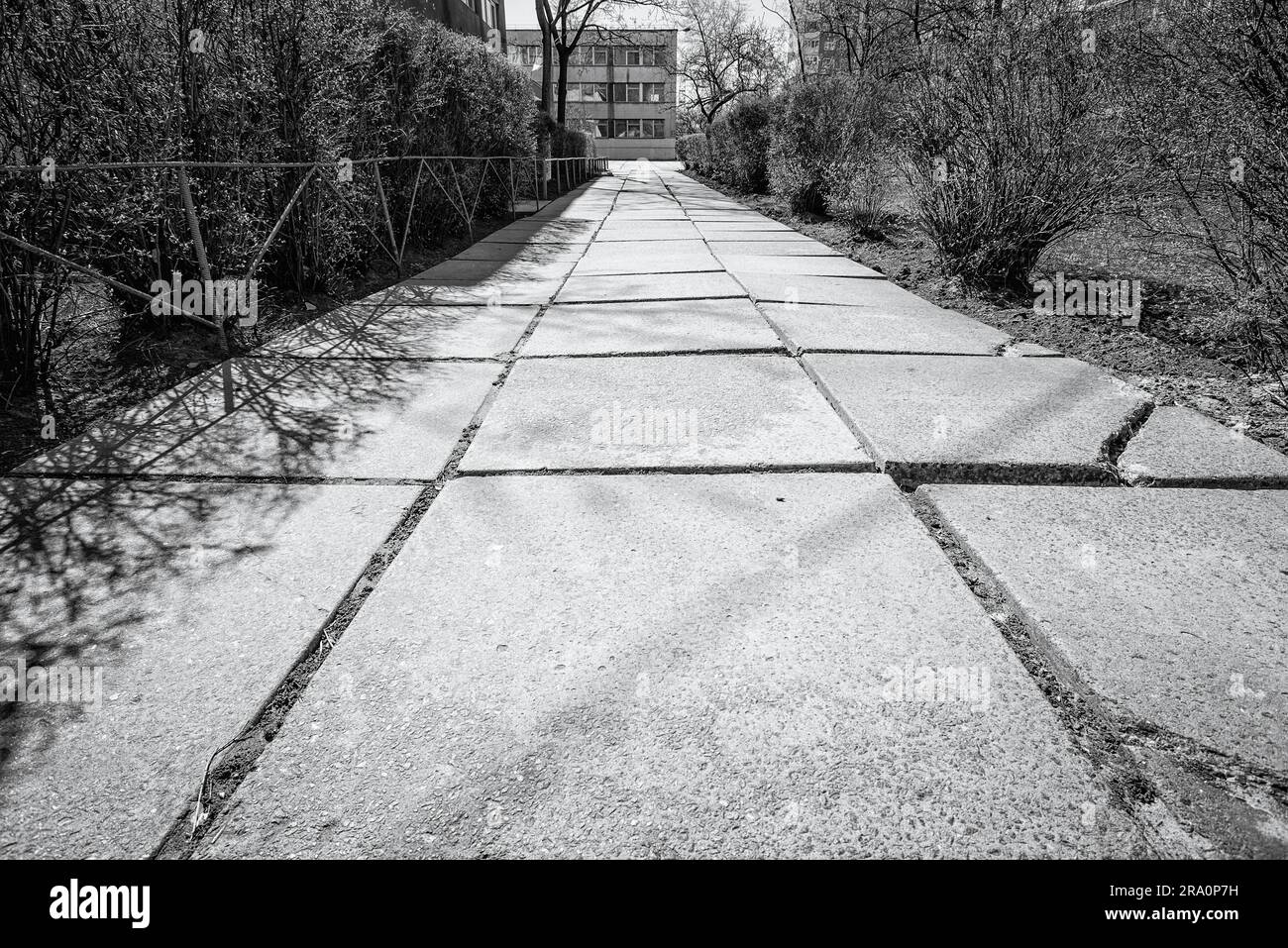 Detail of an old concrete pathway Stock Photo - Alamy
