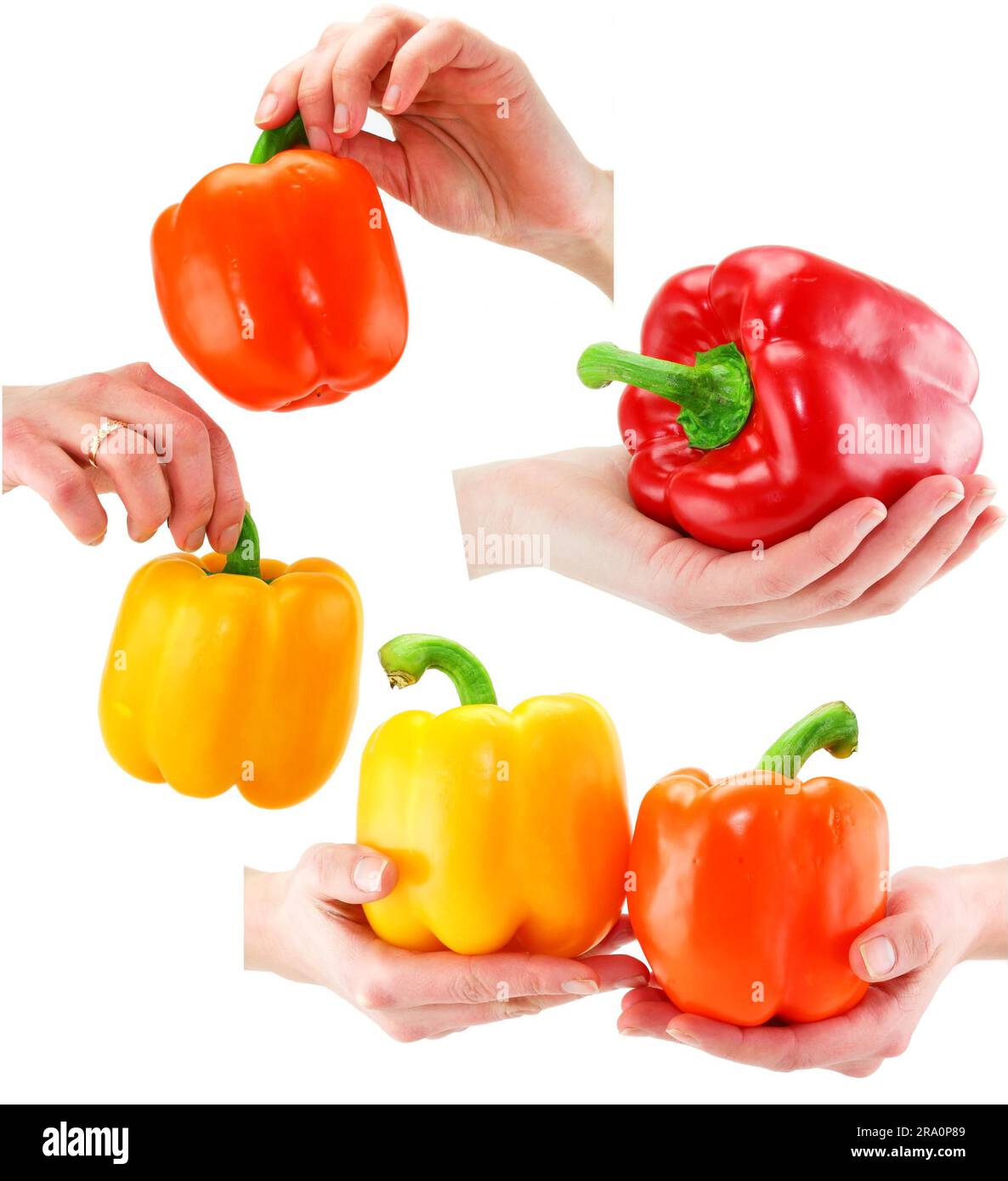 Collection of woman's hands holds colored paprika isolated on a white ...
