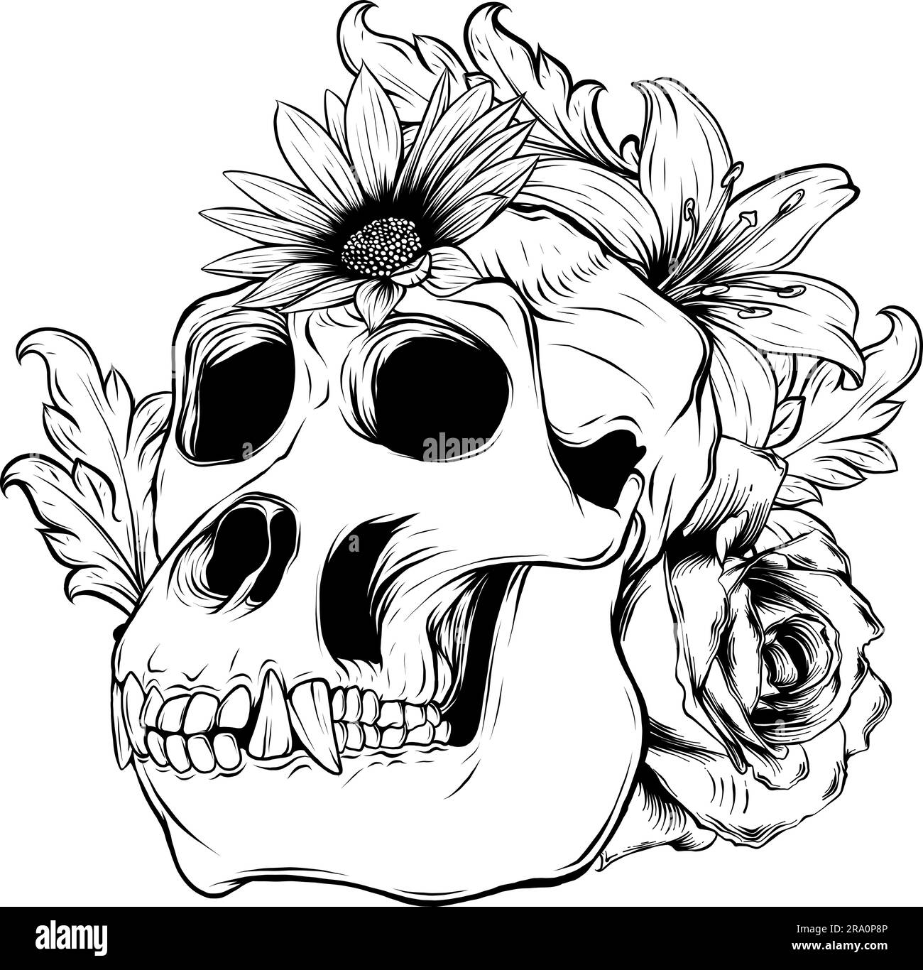 Skull of monkey Black and White Stock Photos & Images - Alamy