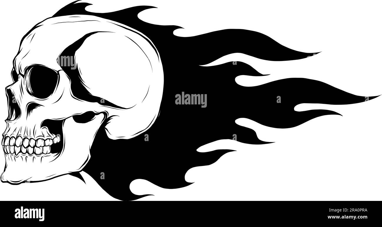 vector illustration of outline human skull design Stock Vector Image ...