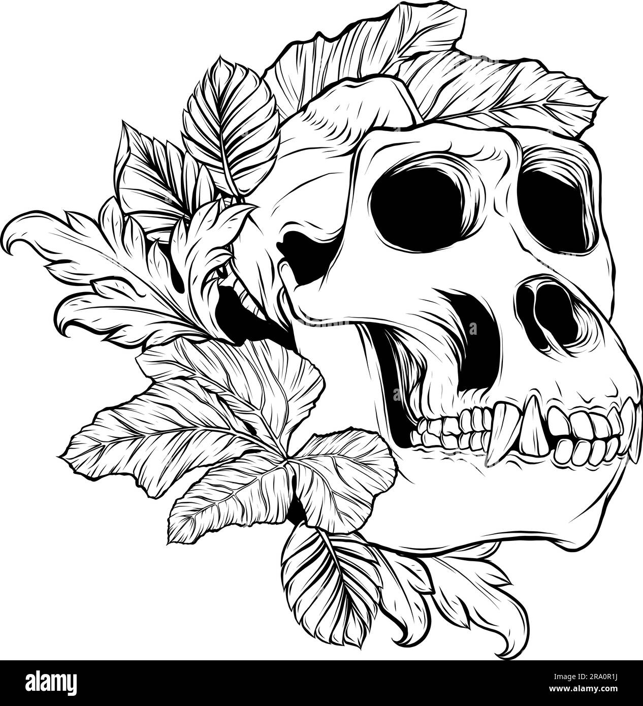 Gorilla monkey skull in black and white outline Stock Vector Image ...