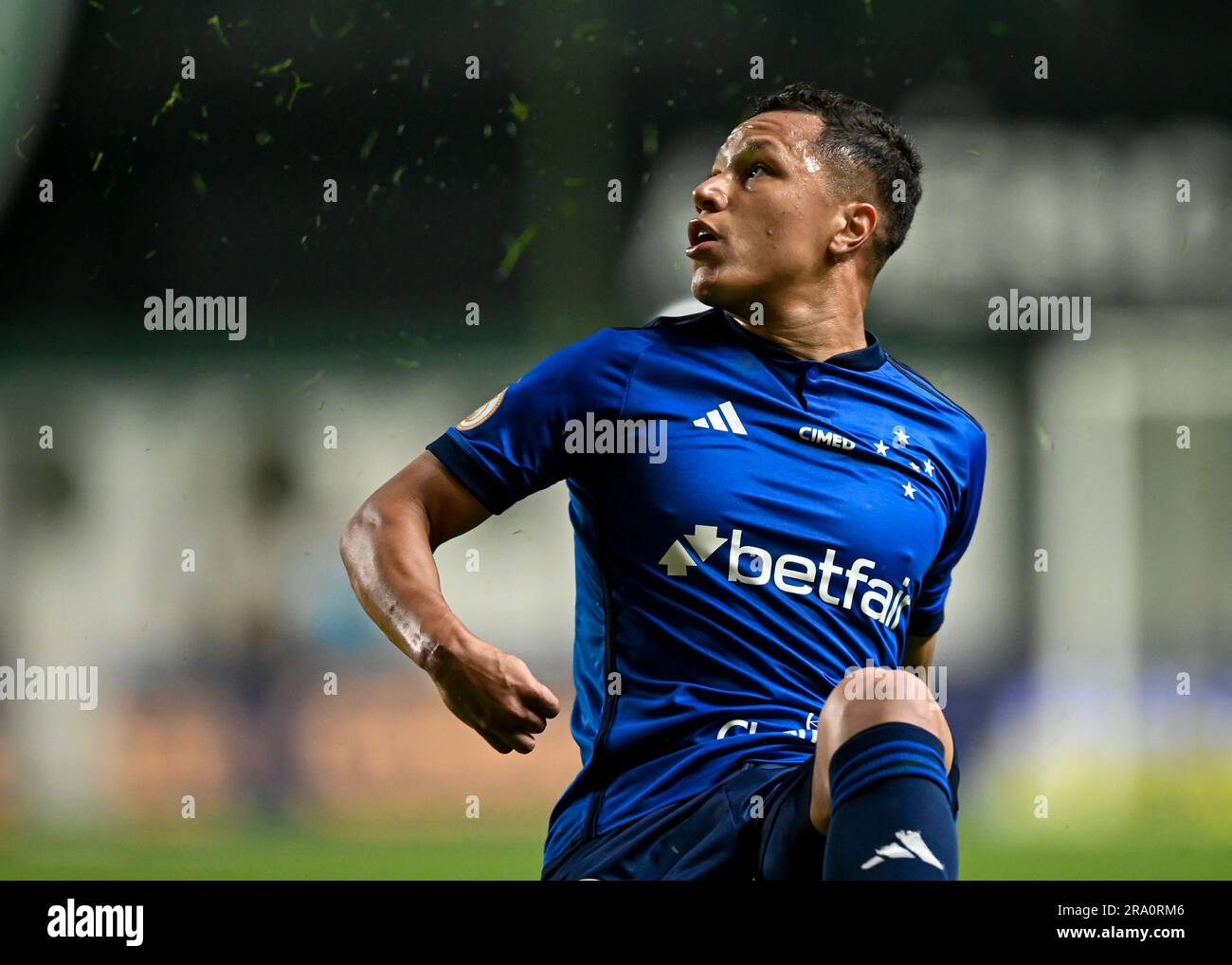 Marlon xavier hi-res stock photography and images - Alamy