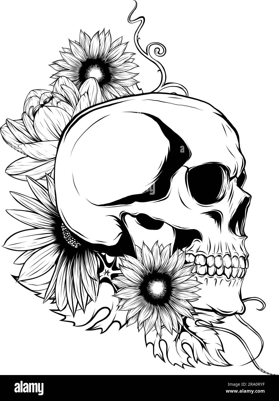 vector illustration of outline human skull design Stock Vector Image ...