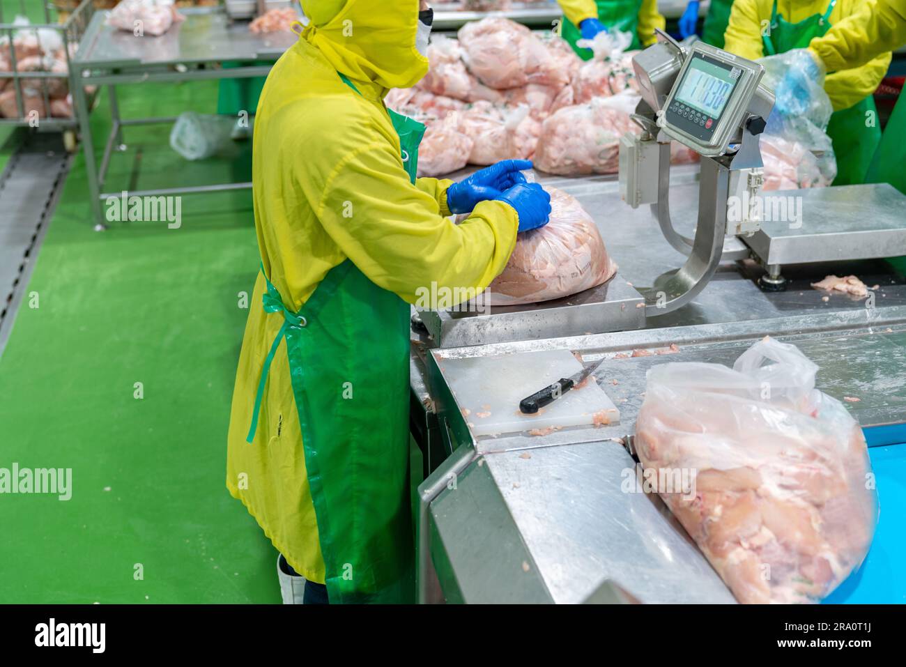 Worker weighing chicken part on scale in production line Stock Photo ...