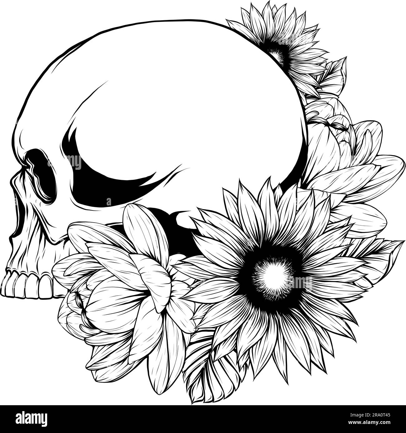 vector illustration of outline human skull design Stock Vector Image ...