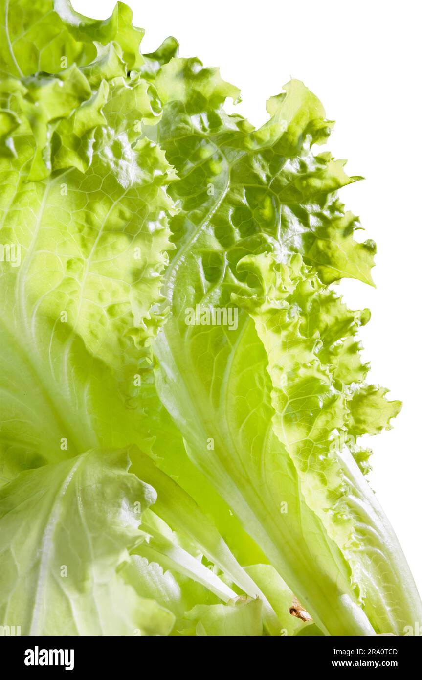 Tender greens hi-res stock photography and images - Alamy