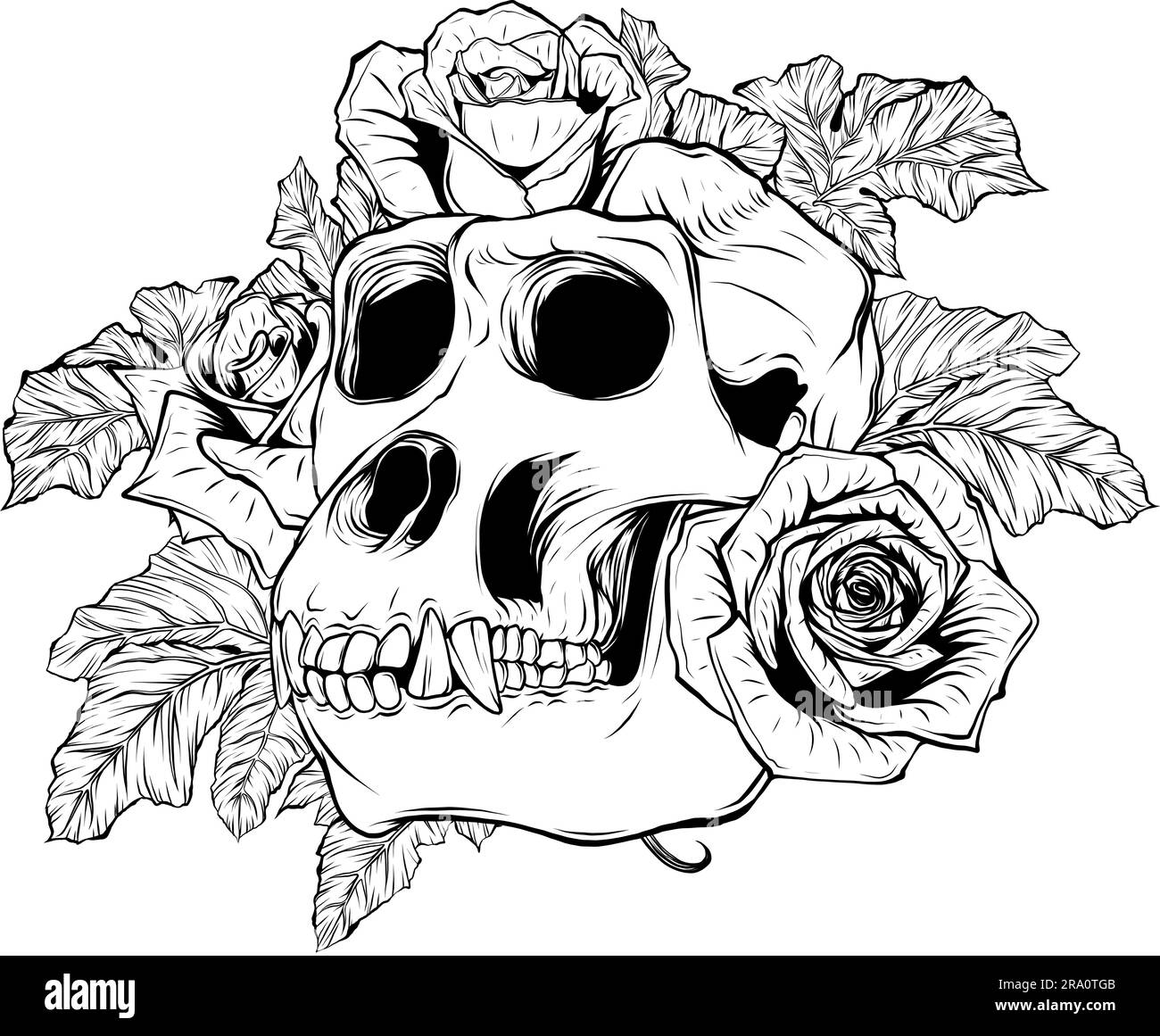 Gorilla monkey skull in black and white outline Stock Vector Image ...