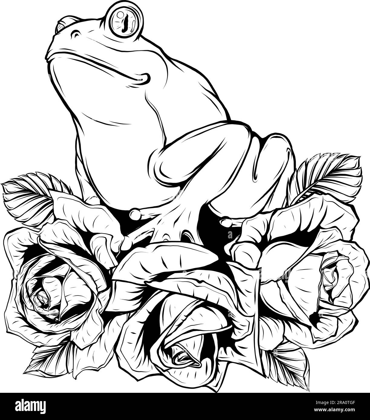 vector frog in black and white outline Stock Vector Image & Art - Alamy