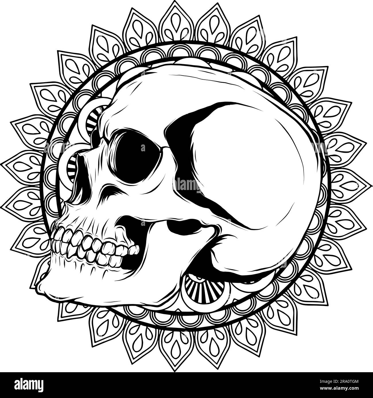 vector illustration of outline human skull design Stock Vector Image ...