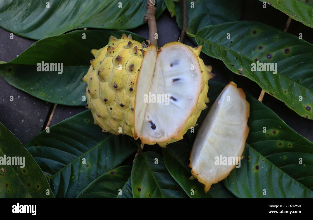 Leaving of sugar hi-res stock photography and images - Alamy