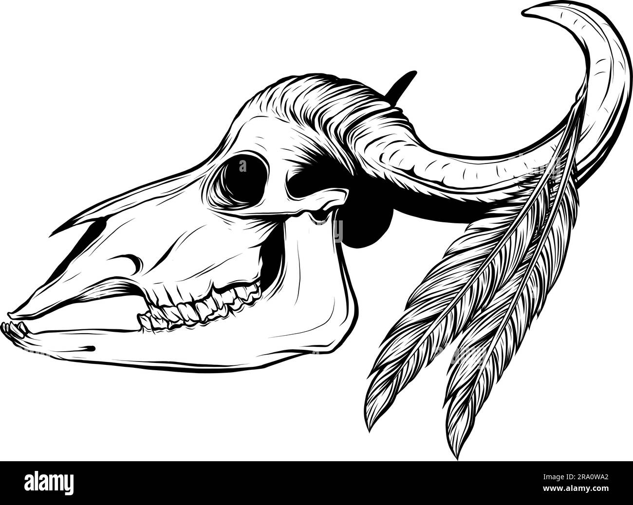 bull skull vector art outline illustration design Stock Vector Image ...